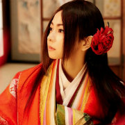 京都樱菊 
