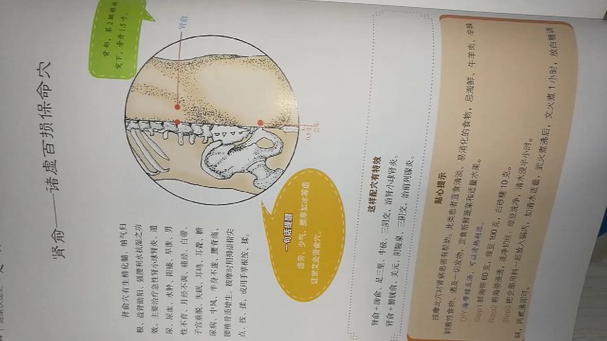 肾俞——诸虚百损保命穴。
