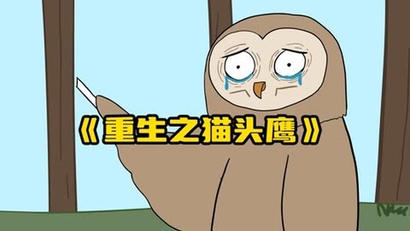 趣味科普:重生之你在森林当猫头鹰