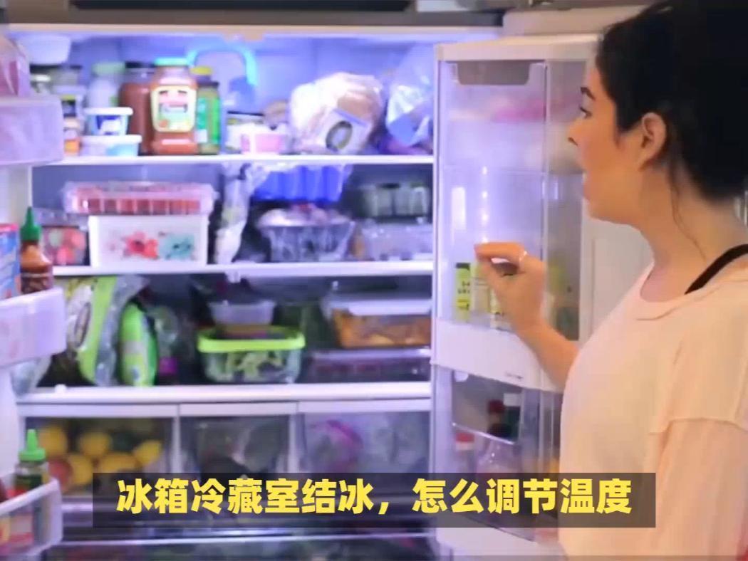 冰箱冷藏室结冰,怎么调节温度? #文化 #知识 #生肖 #星座