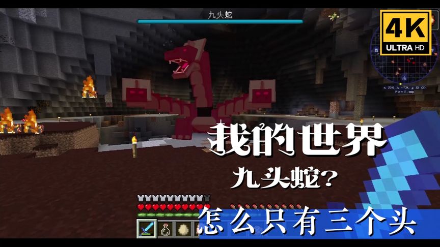 九头蛇?怎么只有三个头——我的世界