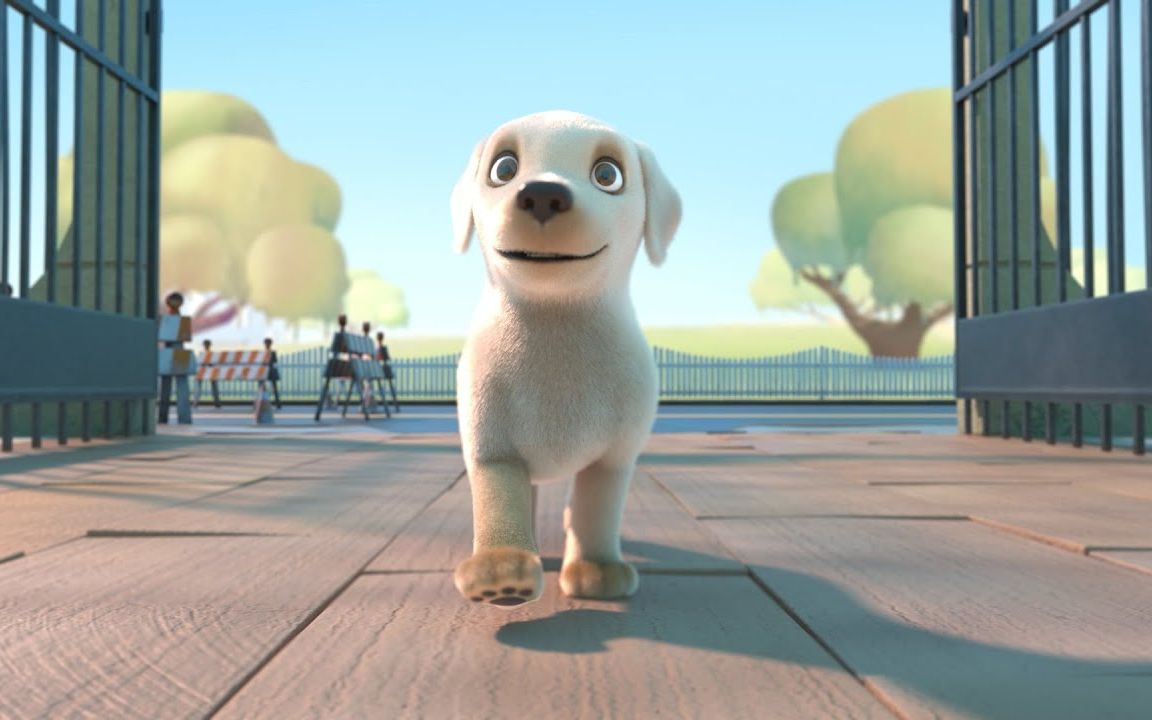 让你感动到泪奔的关于导盲犬的动画短片~