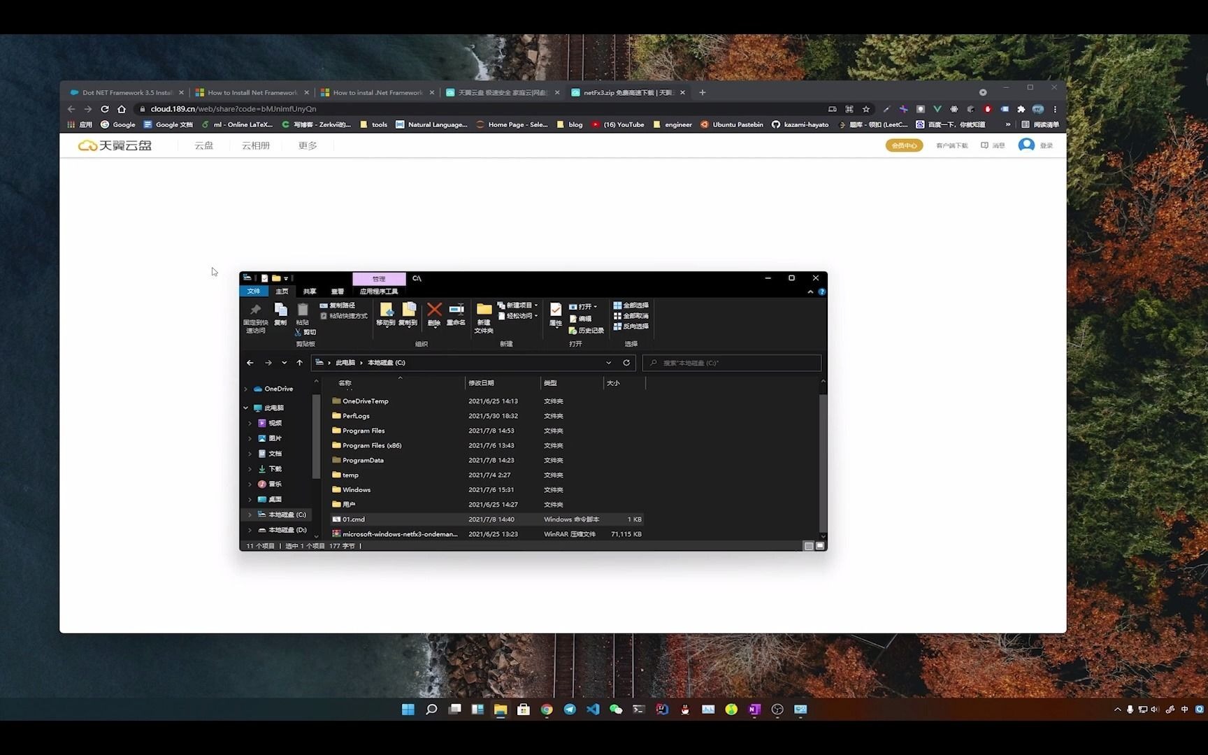 Windows11/10 安装.net3.5 解决方案(0x800F0950)