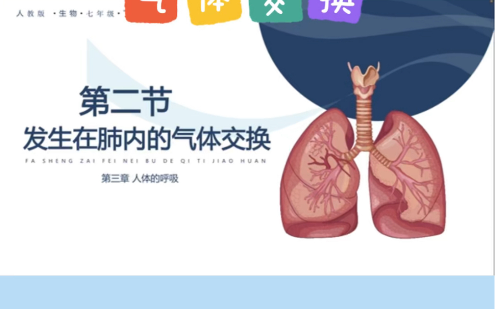 发生在肺内的气体交换|教学思路|初中生物