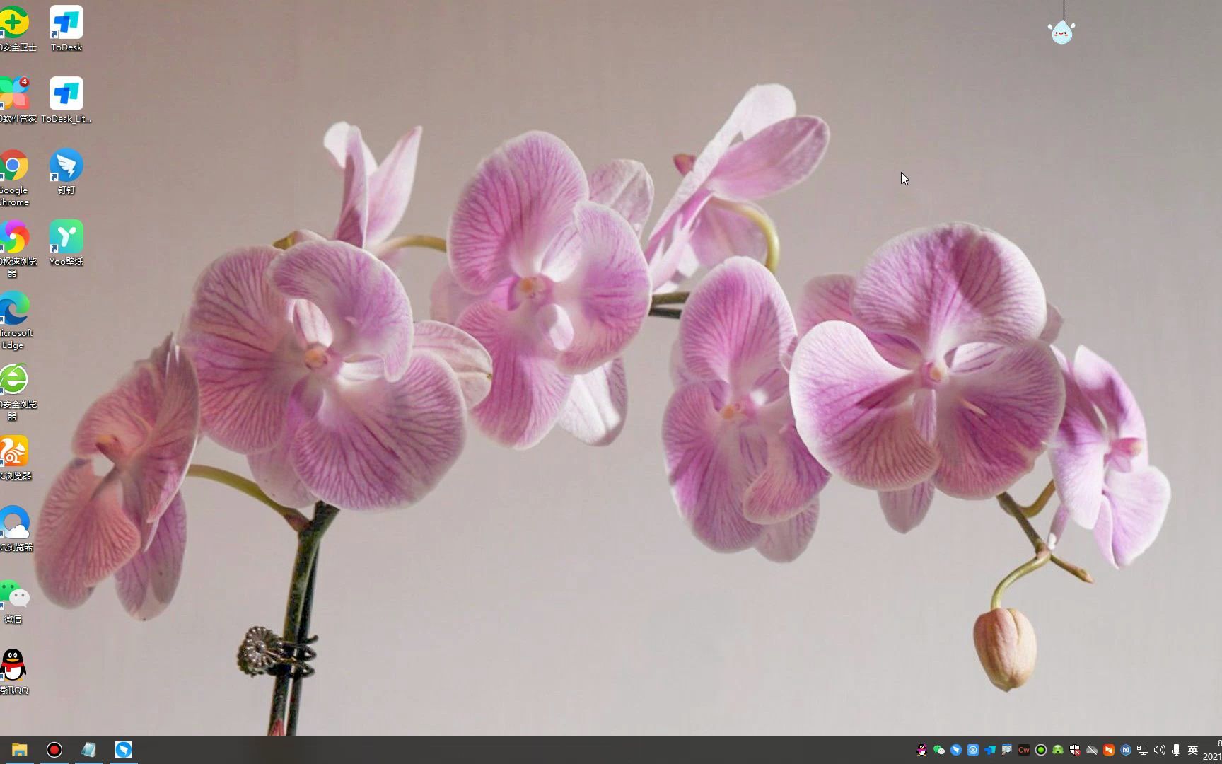 钉钉直播回放视频不能观看怎么办