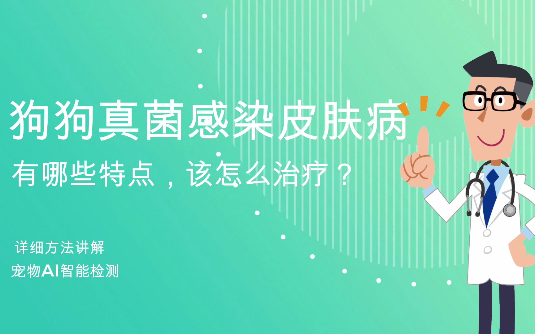 狗狗真菌感染皮肤病,有那些特点,该怎么治疗?