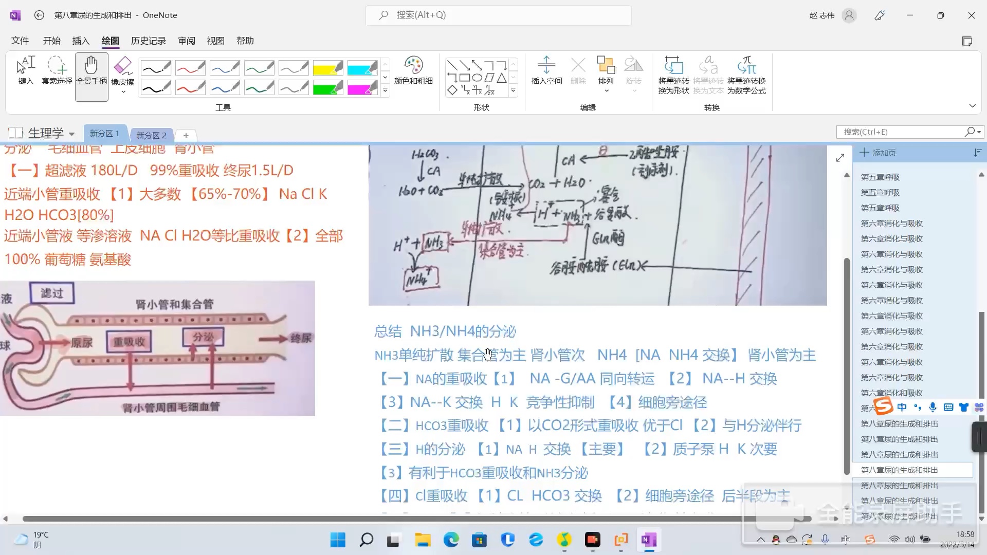 生理学打基础:总结各离子在集合管和肾小管的重吸收和分泌途径。两...