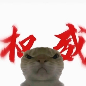 烧烤布加盐 