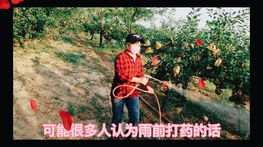 杀菌剂的正确使用方法