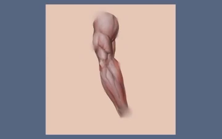 【板绘新手教学】板绘用手腕还是手臂 ps板绘勾线笔怎么设置
