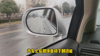 汽车后视镜自动下翻功能