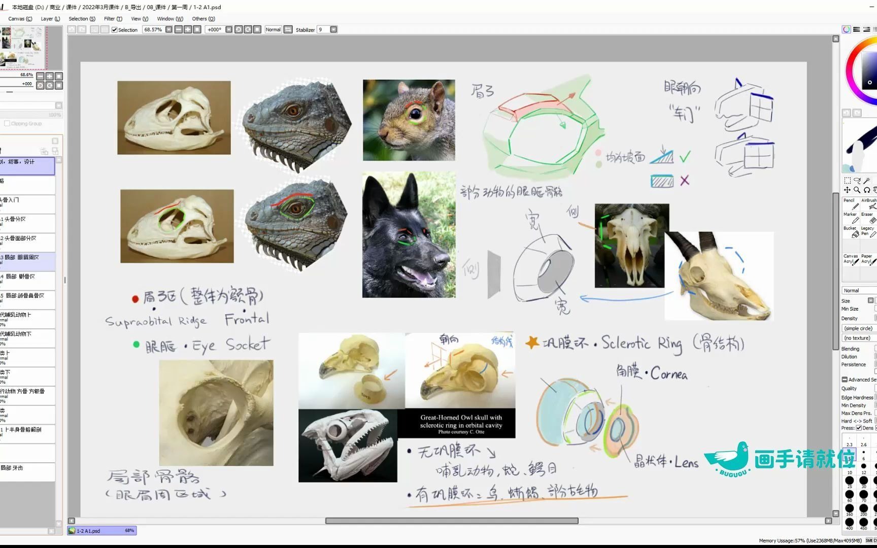 -早企鸟学园-财税公司薪酬体系管理方案课程学习心得一