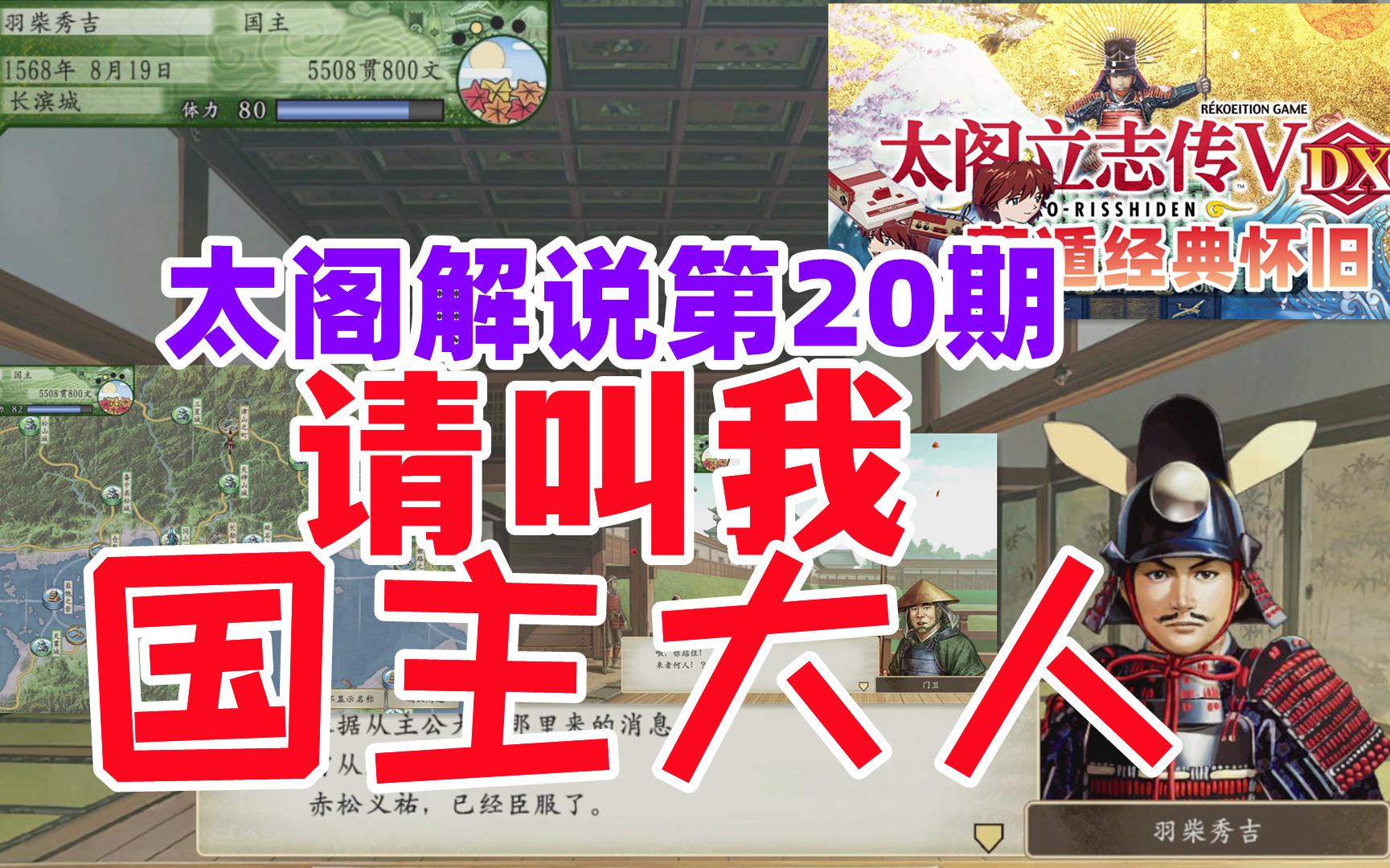 转封姬路,当国主啦【太阁立志传5DX太阁解说第20期】