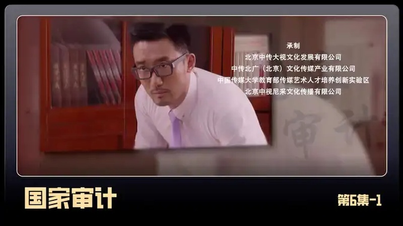 国家审计第6集 1(10)