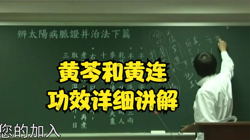 伤寒论:黄芩和黄连的功效,详细讲解中