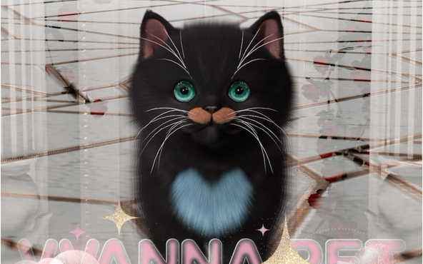 【以闪】三花x小黑猫能生什么可爱小猫…卧槽!_手机游戏热门视频