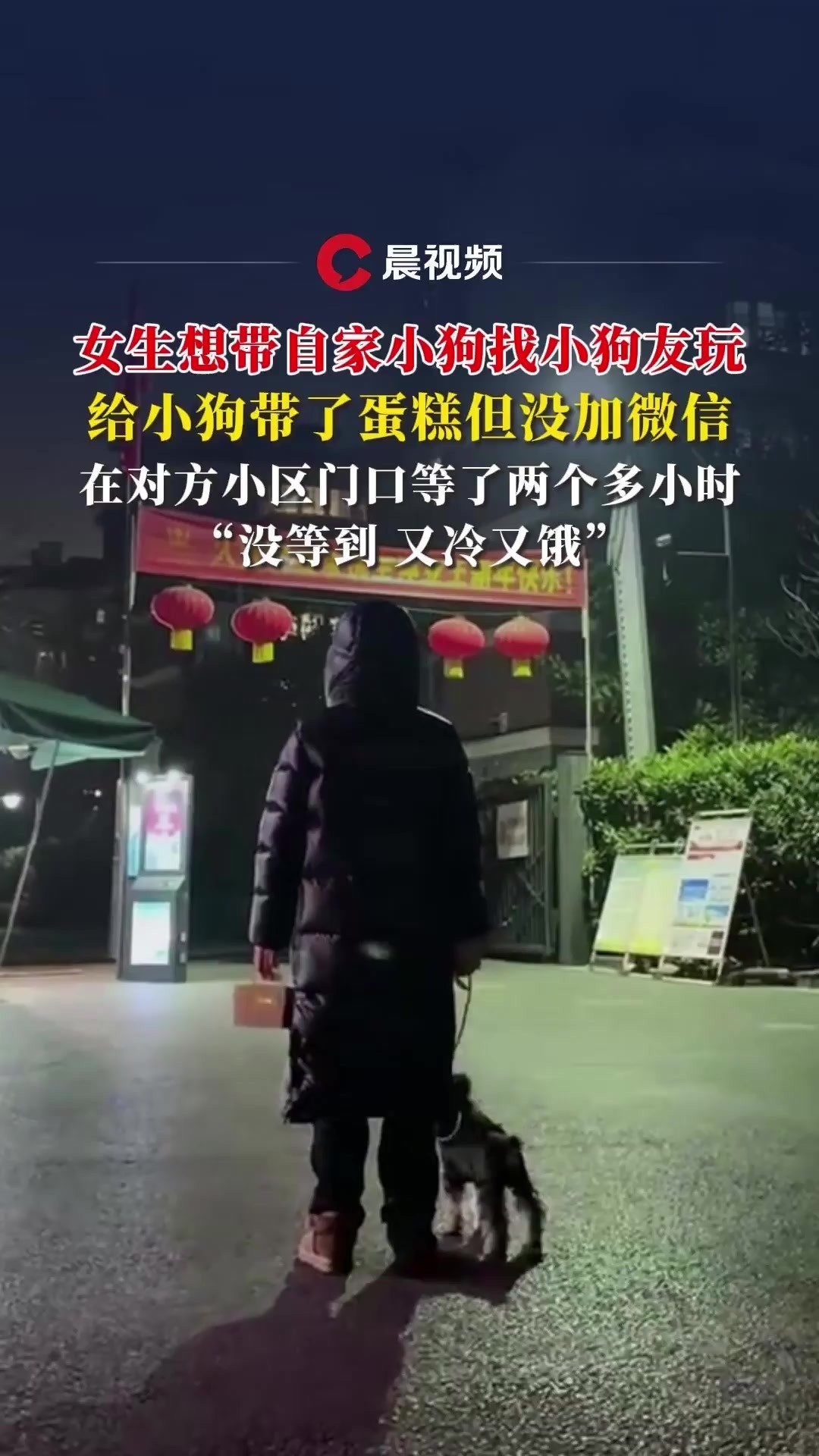 女生想带自家小狗找小狗友玩,但没加微信,在对方小区门口等了两个多...