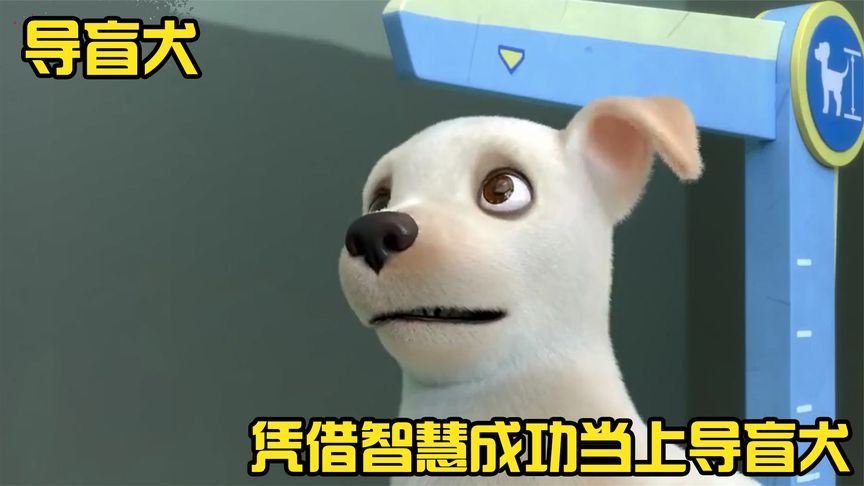 小小的狗狗有大大的能量,勇敢狗狗不怕困难,励志动画