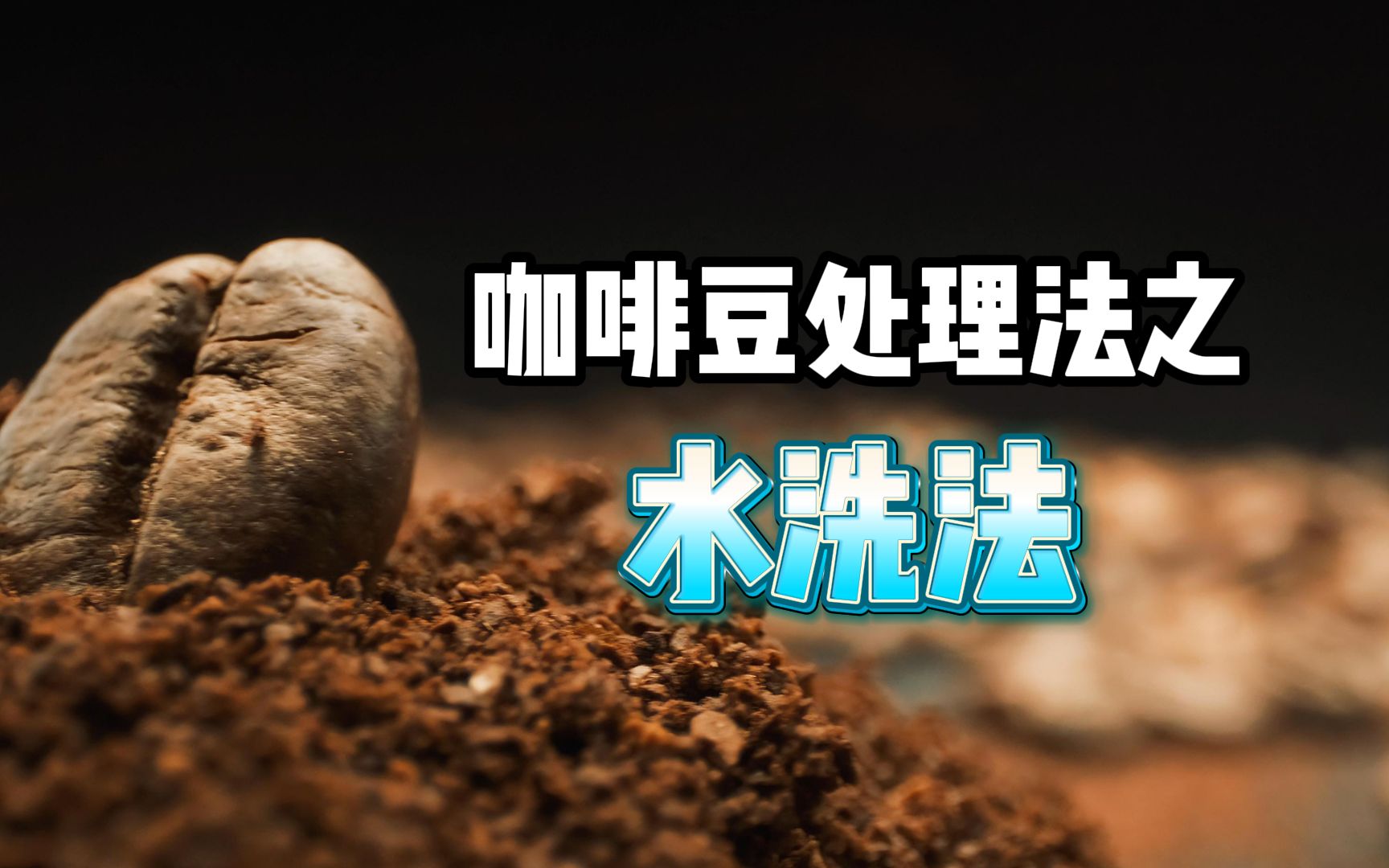 咖啡豆处理法之水洗法