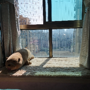 那天你说 