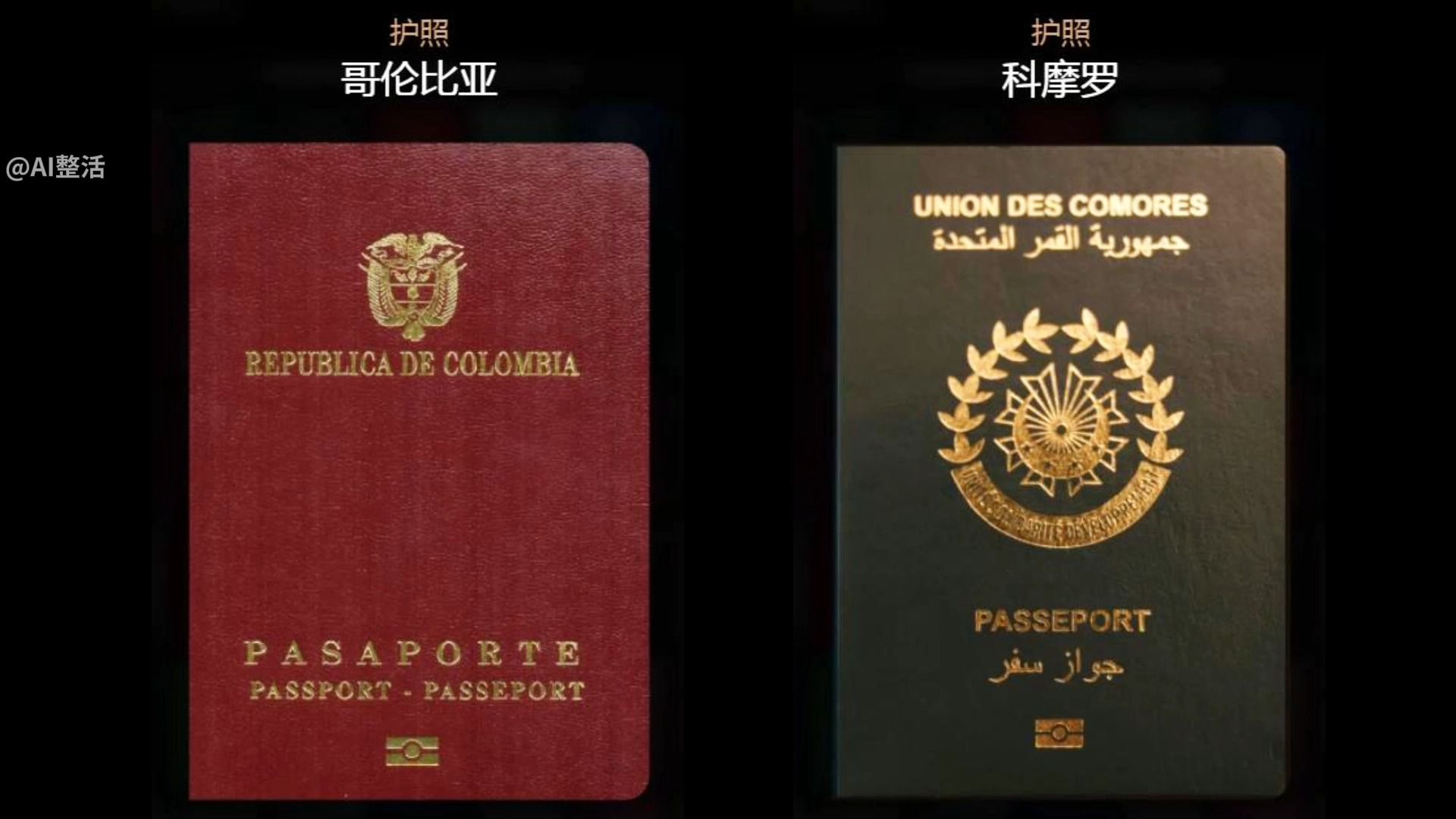 世界各国护照长什么样?快来看一眼