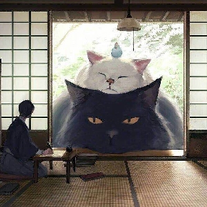 YJ原瑾 