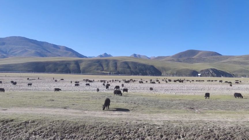 世界屋脊--西藏