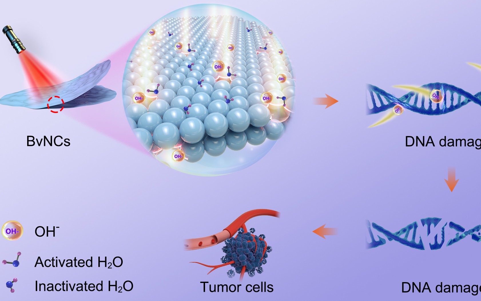 科研绘图––局部放大效果