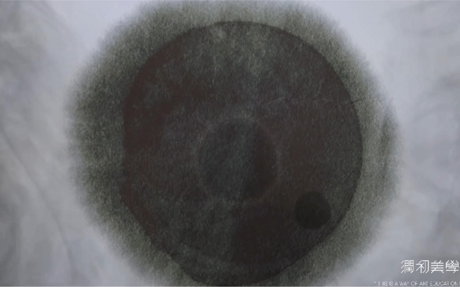 笔墨纸砚·中国画艺术游学⑤ 宣纸、山水长卷、桃花潭