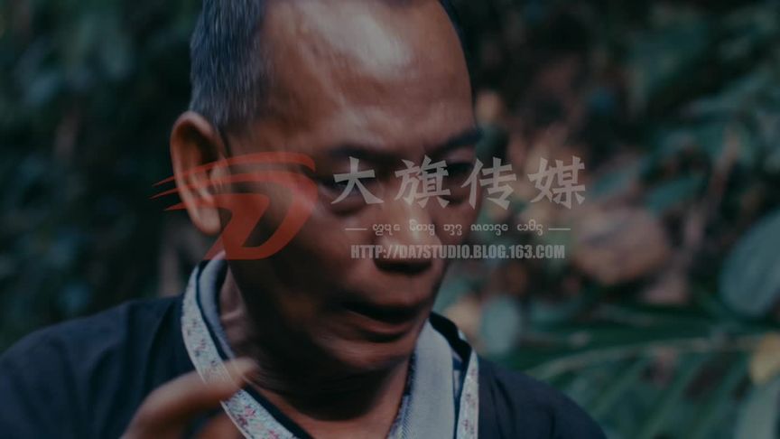 景洪市林业和草原局短片花絮