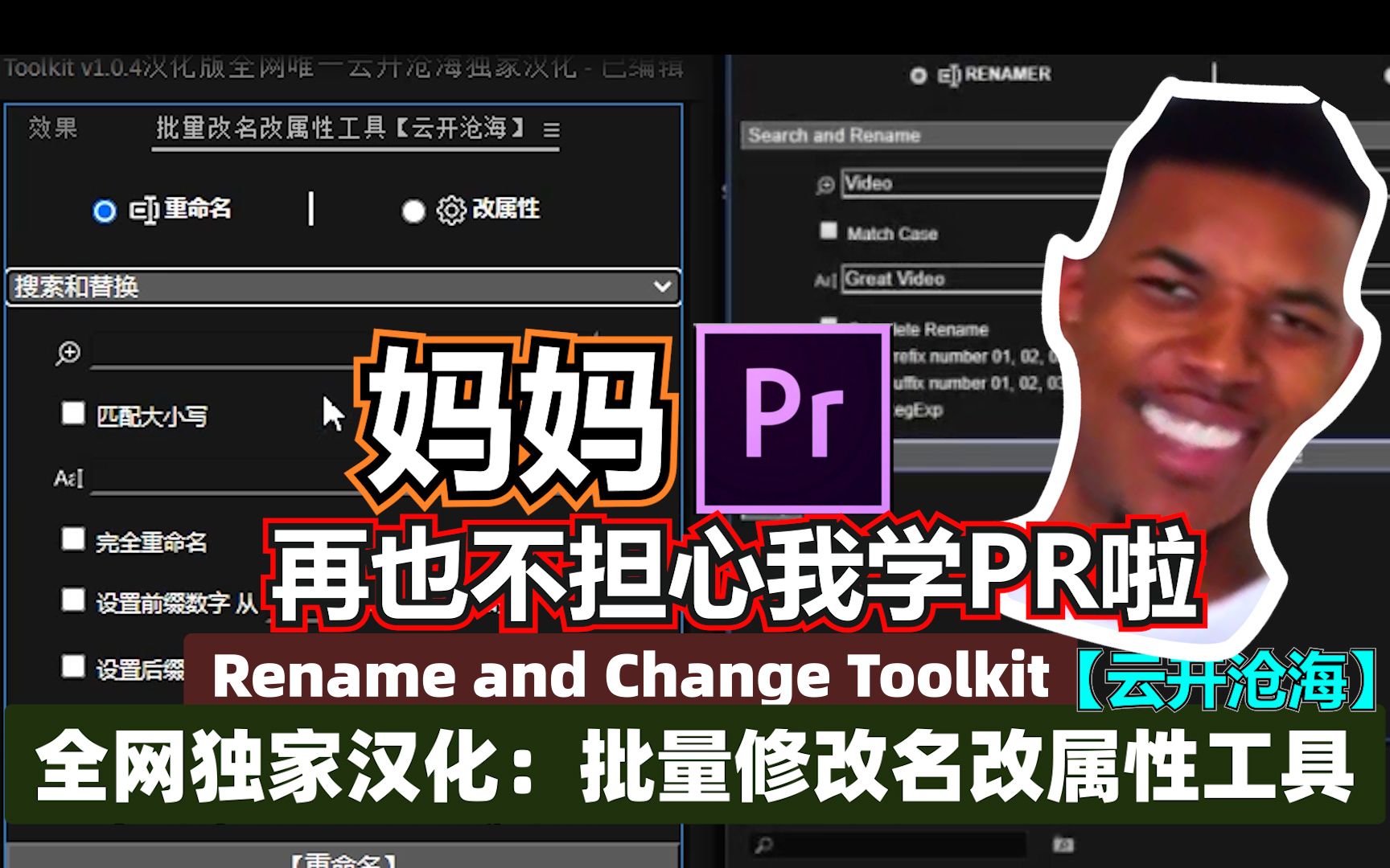 ...名和属性工具Rename and Change Toolkit【云开沧海】pr教程ae教程
