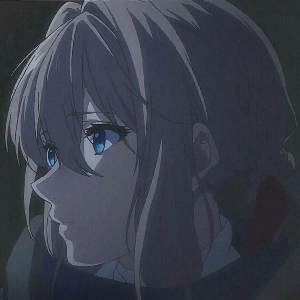 白雕233 