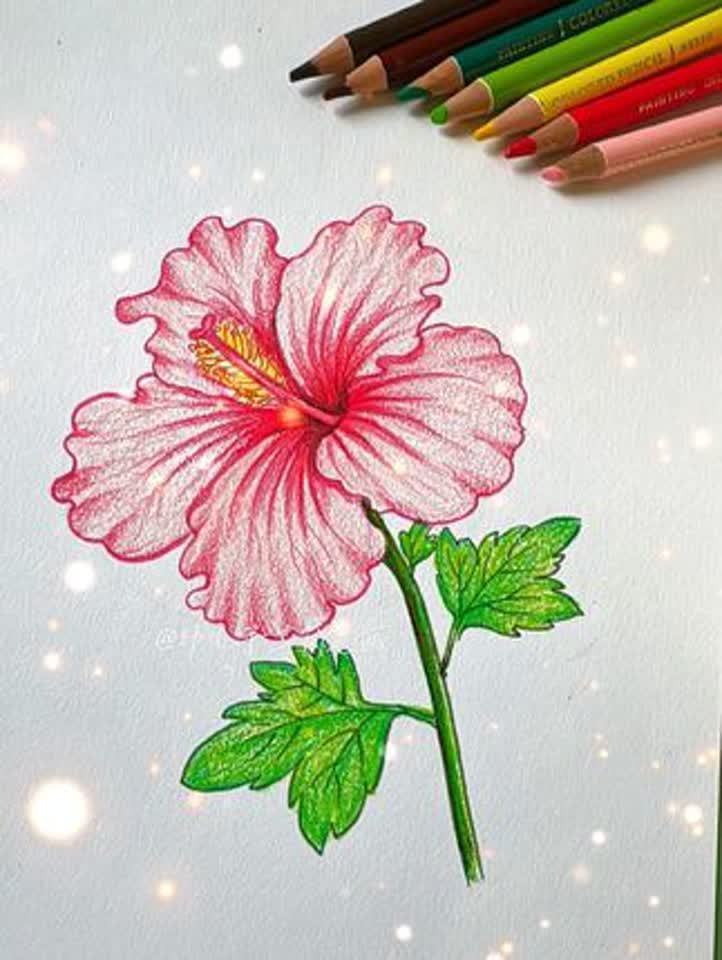 万能的椭圆今天教你画木槿花 #儿童简笔画 #木槿花 #简易花草画法 #...