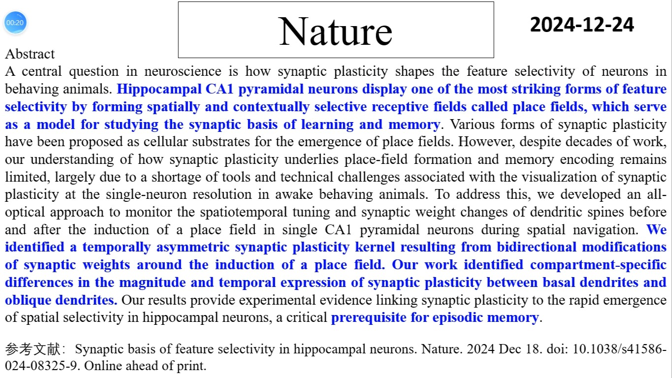 Nature—认知科学研究重磅:科学家揭示海马神经元特征选择性的突触...