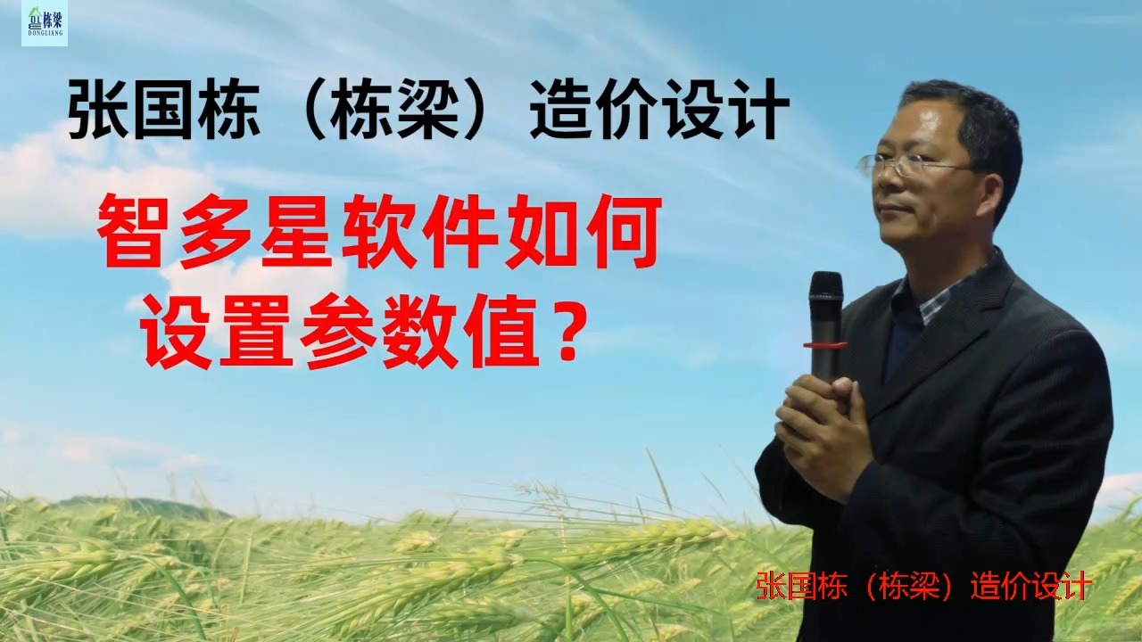 张国栋(栋梁)造价设计:智多星软件如何设置参数值?