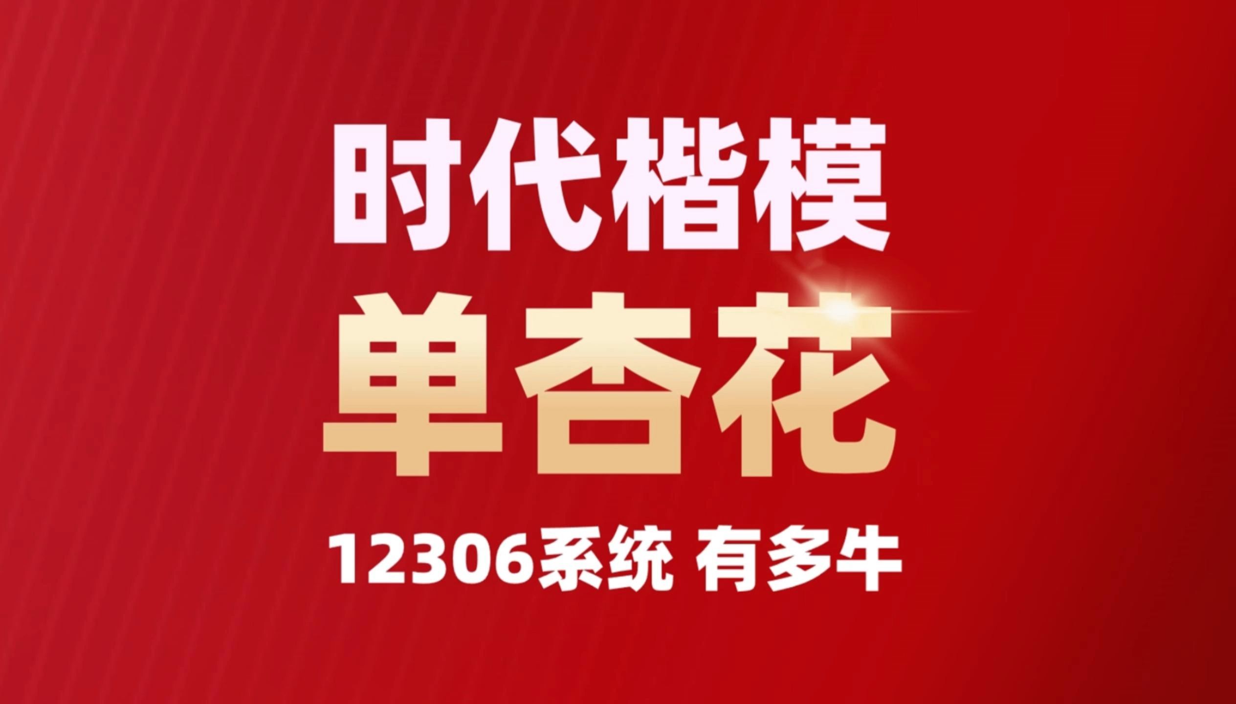 时代楷模:单杏花 。聊聊12306系统有多牛,改变中国人买高铁票的方式。