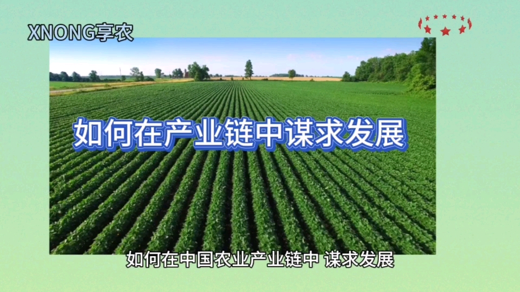如何在中国农业产业链中,谋求发展?包含100多个细分领域。据不完全...