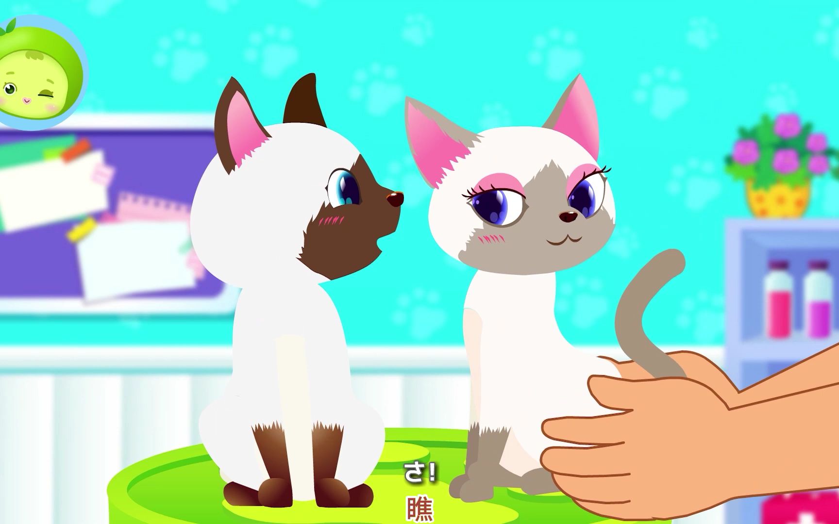 【中日双语字幕】看动画学日语|马克的宠物医院|帮帮暹罗猫吧