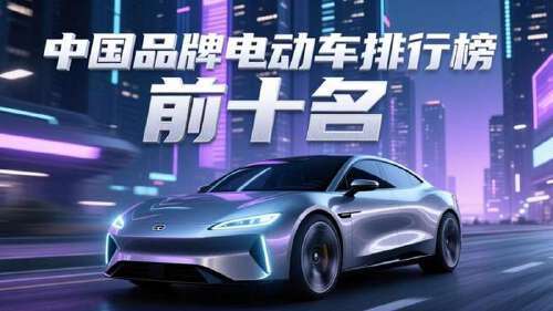 国产电动车谁更强?销量前十榜单揭晓,第一名出乎意料!