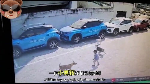 咬人的宠物狗被打!