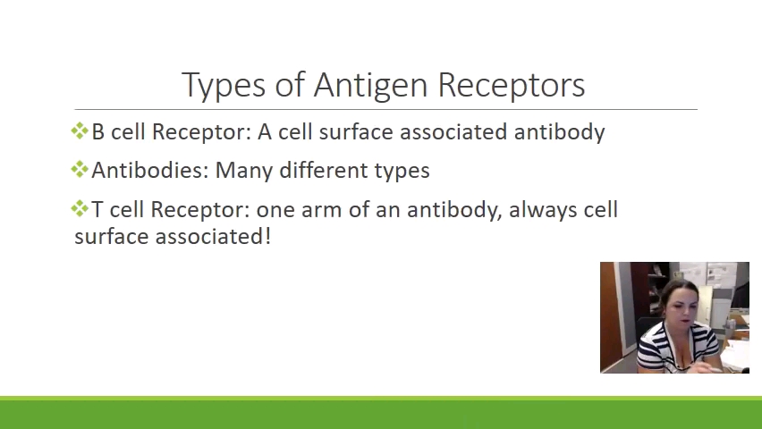 【免疫学】抗原受体(Antigen Receptors)英文无字幕