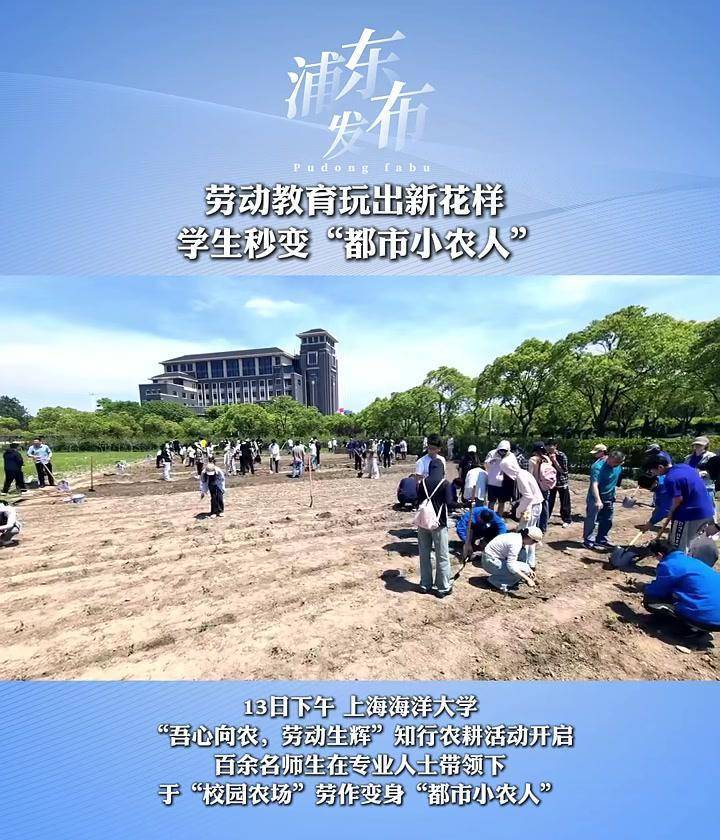 上海海洋大学:劳动教育玩出新花样学生秒变"都市小农人"。记者朱洁...