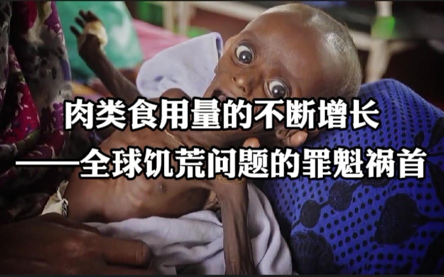 ...谷物产量的三分之一都用作了牲畜喂养!而不是用于解决人类饥荒问题!