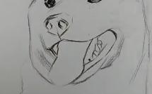 【素描教程简单学】美院老师让你轻松学会画狗8--素描零基础入门教程