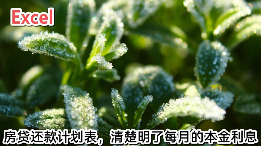 Excel综合应用(19):房贷还款计划表,清楚明了每月的本金利息
