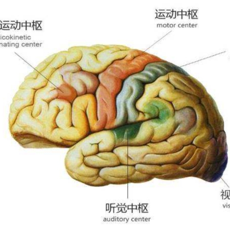 水口刑警脑瓜瓜 
