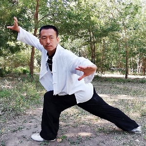 南城八卦掌 