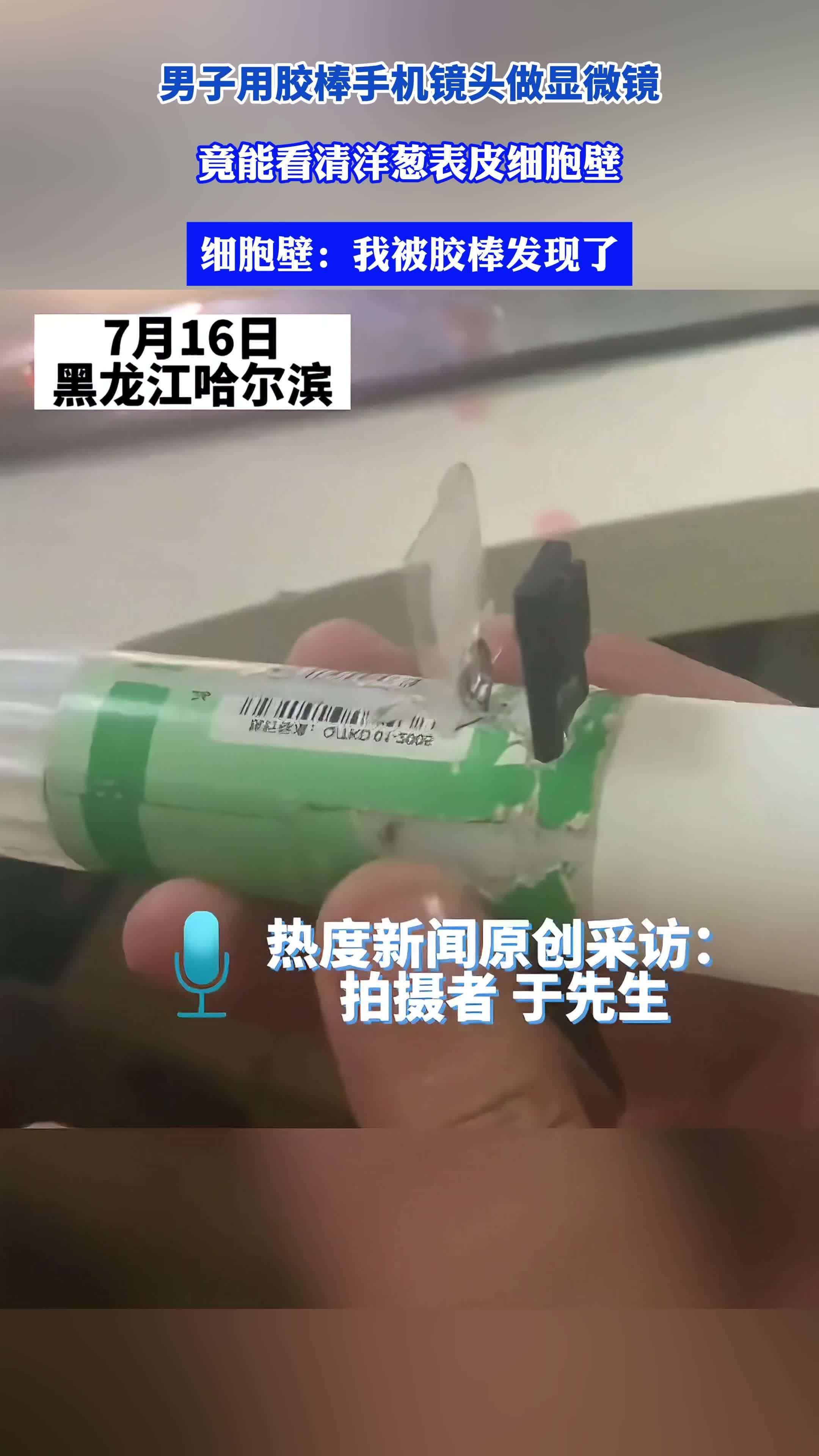 男子用胶棒手机镜头做显微镜,竟能看清洋葱表皮细胞壁