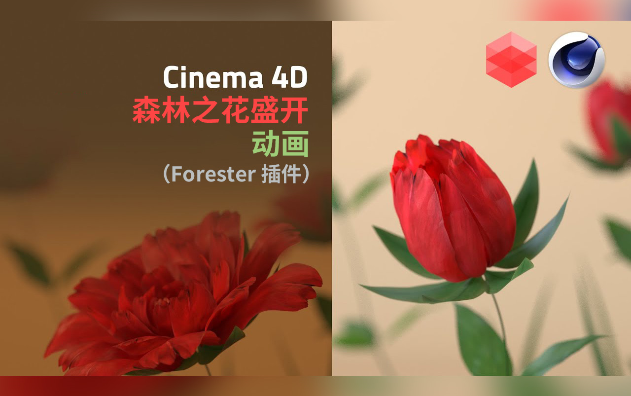 C4D-RS-森林之花盛开动画