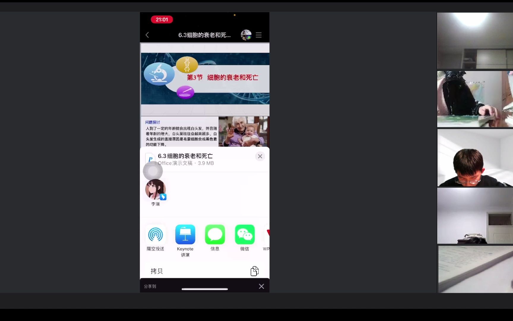 生物-细胞的衰老和死亡